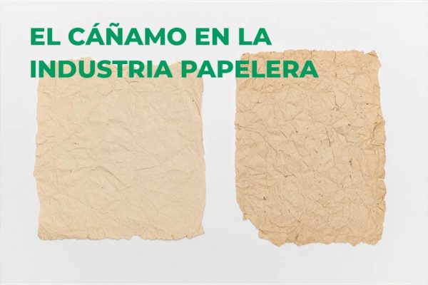 Aplicaciones del cáñamo - VeraSeed